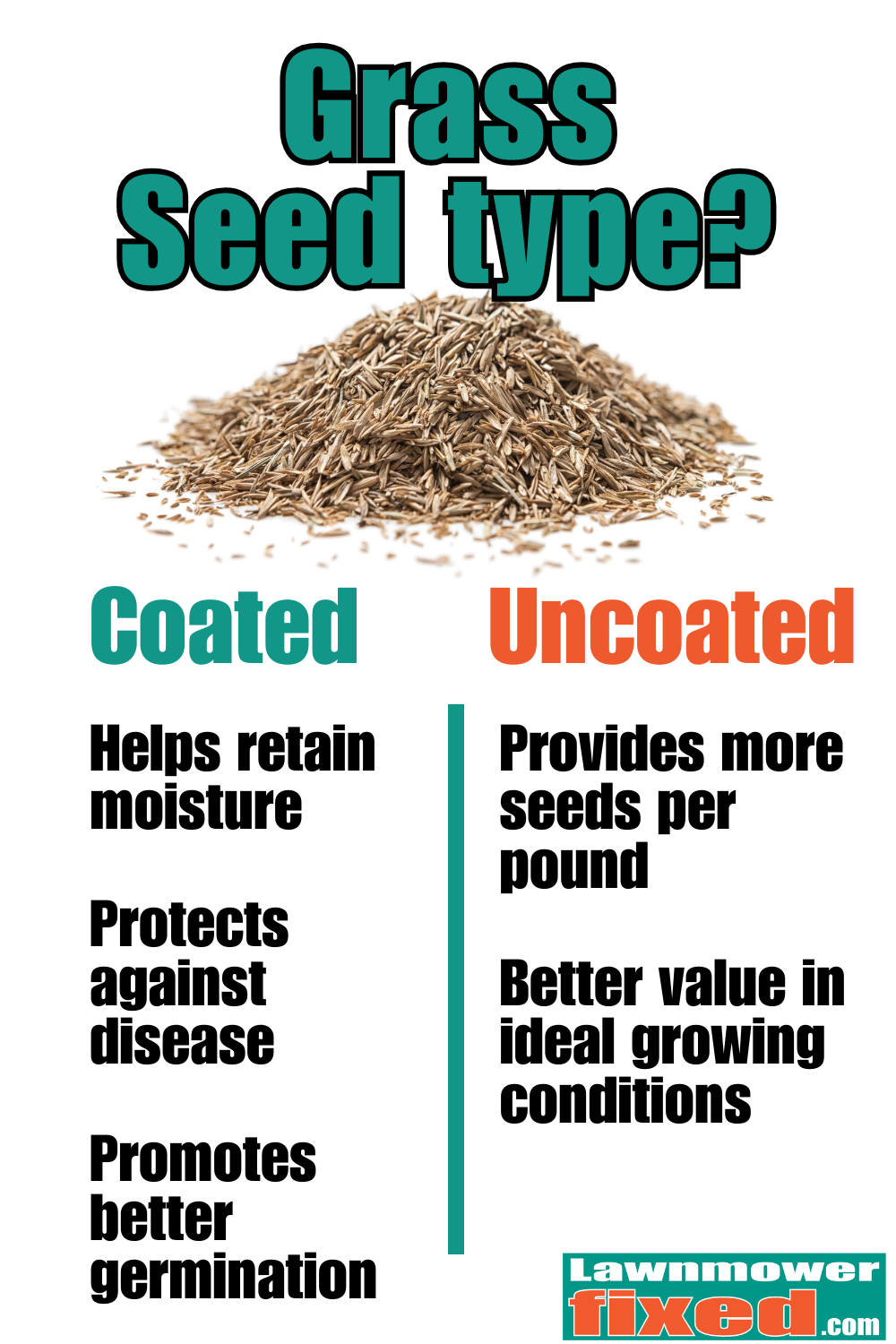 Spring Overseeding Secrets: Do’s and Don’ts for a Lush, Green Lawn ...