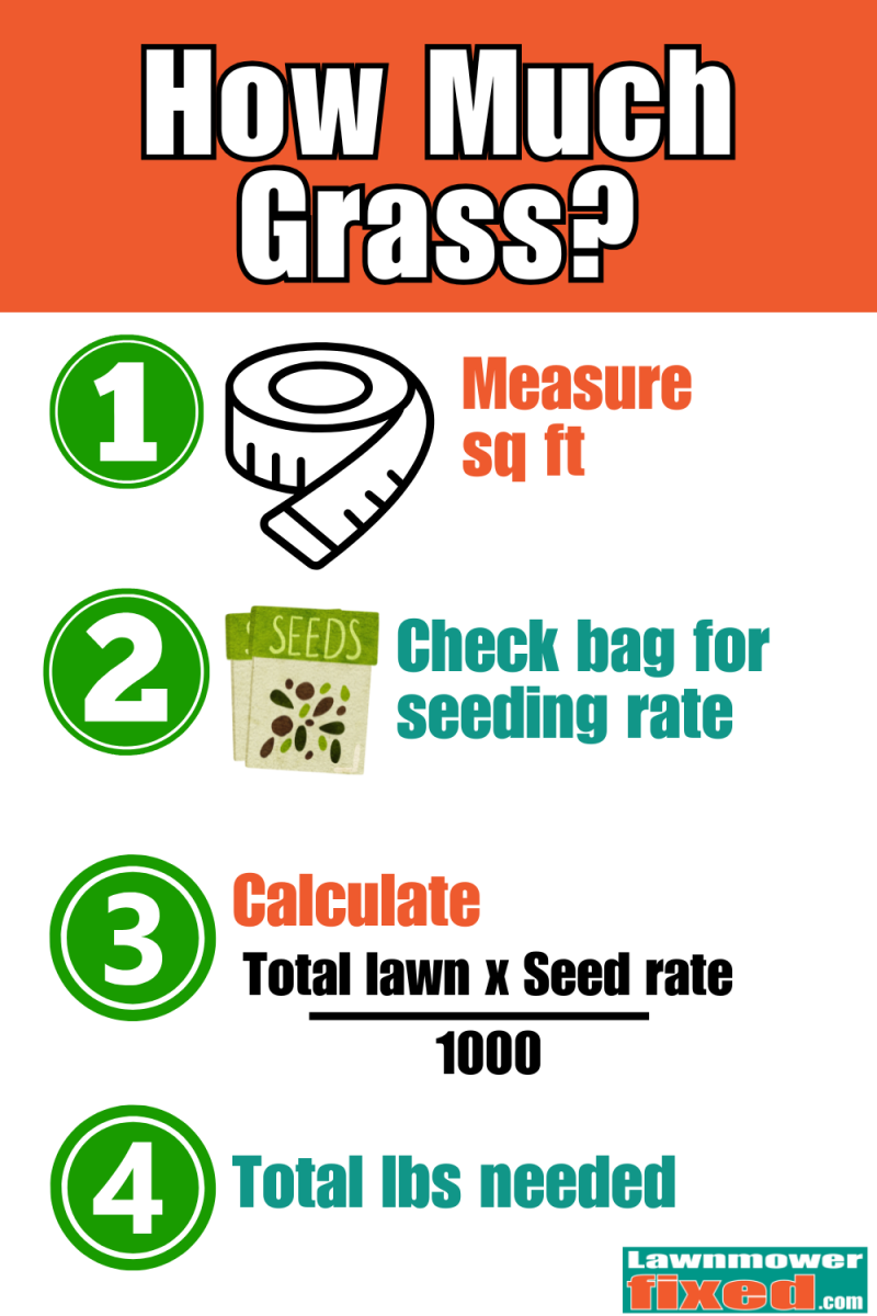 Spring Overseeding Secrets: Do’s and Don’ts for a Lush, Green Lawn ...