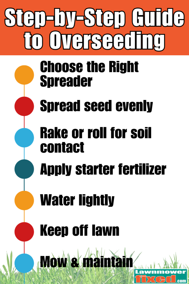 Spring Overseeding Secrets: Do’s and Don’ts for a Lush, Green Lawn ...