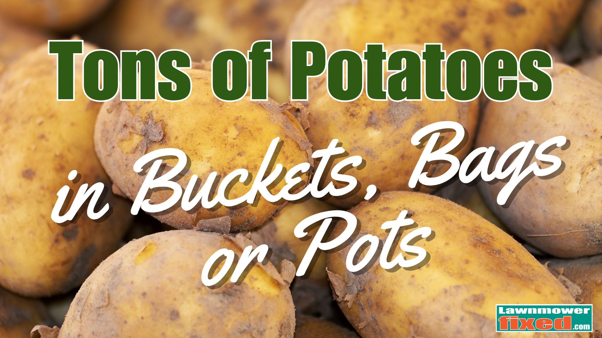 How to Grow Tons of Potatoes in Buckets, Bags, or Pots | Lawnmowerfixed