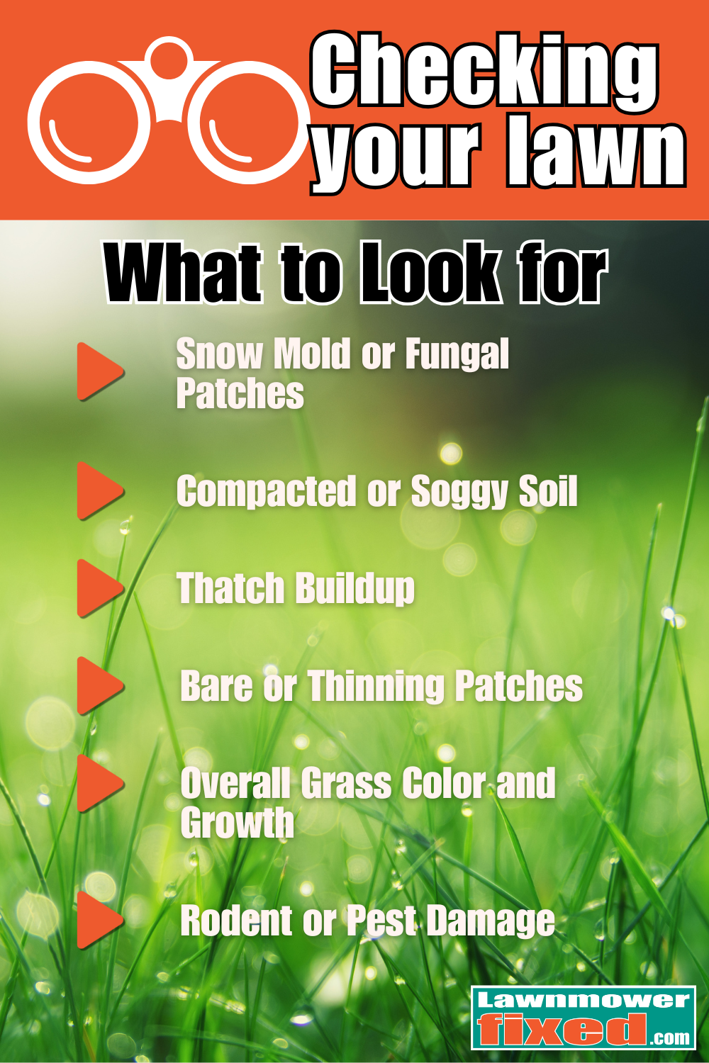 Get Green Grass Fast: Ultimate Spring Lawn Wake-Up Guide | Lawnmowerfixed