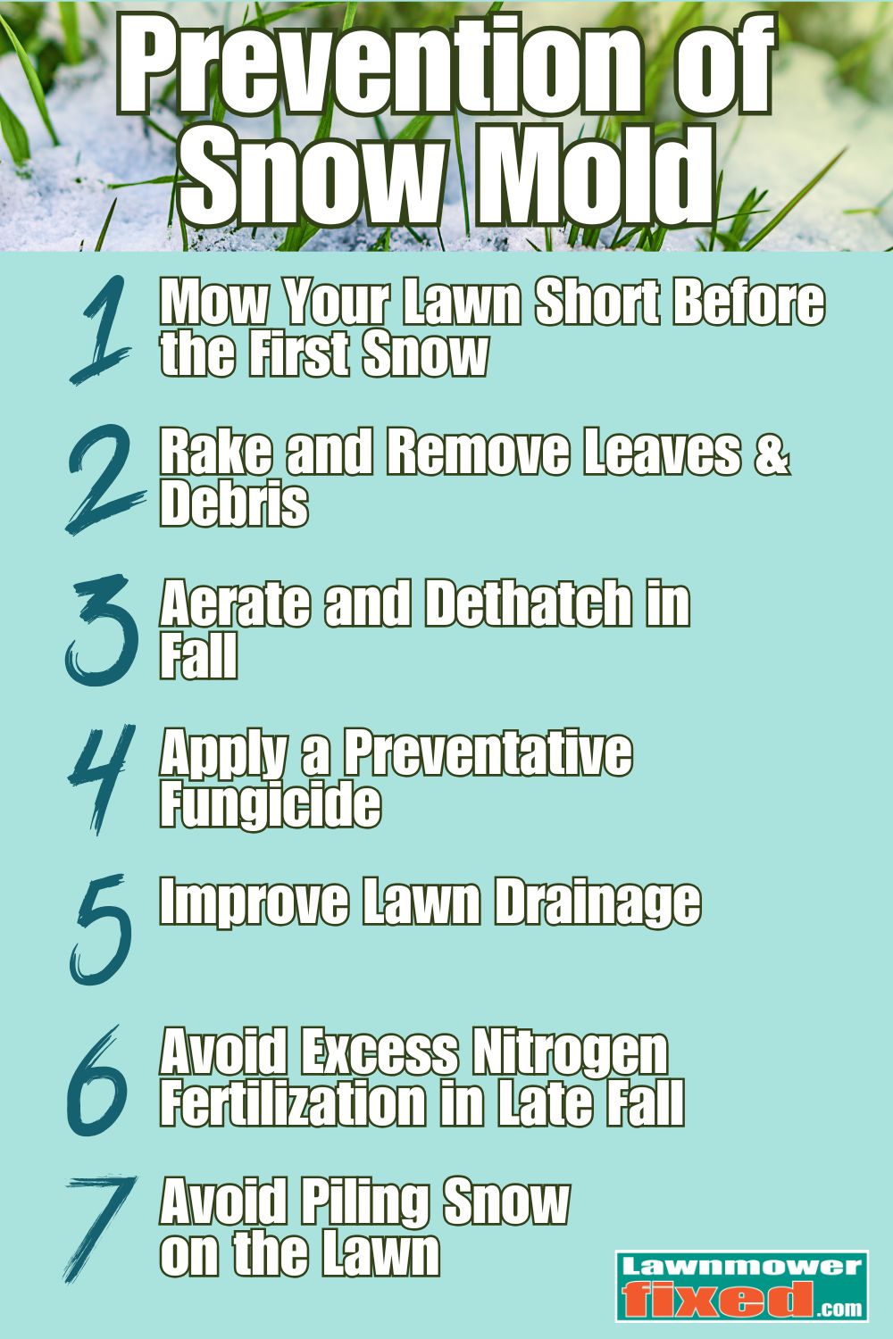 Snow Mold Alert: How to Protect Your Lawn Before It’s Too Late ...