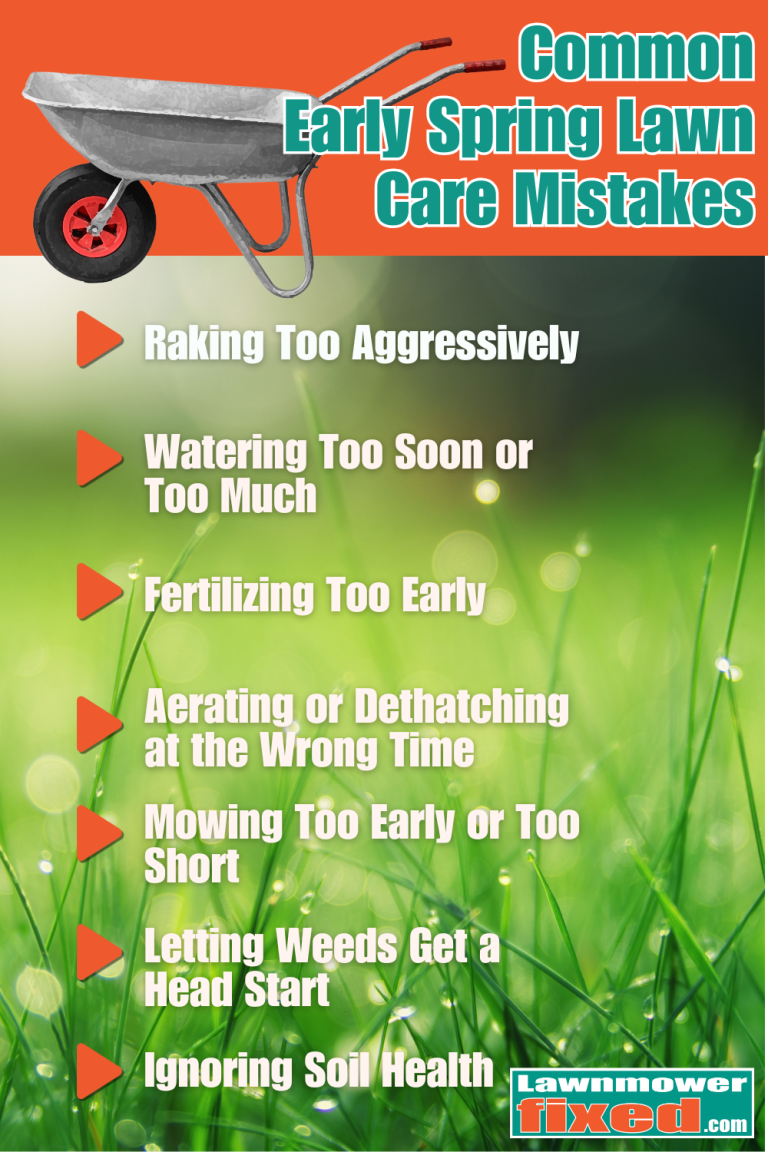 Winter’s Over—Now What? Get Your Lawn Ready for Spring | Lawnmowerfixed