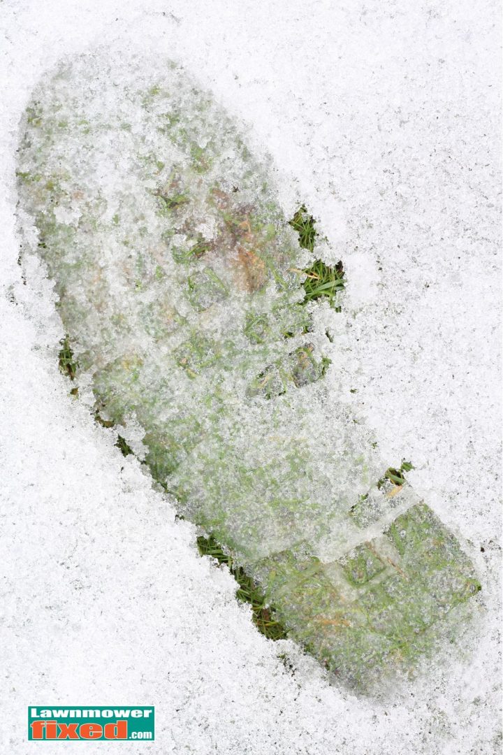 Winter Lawn Survival Guide: Keep Your Grass Healthy in the Cold ...