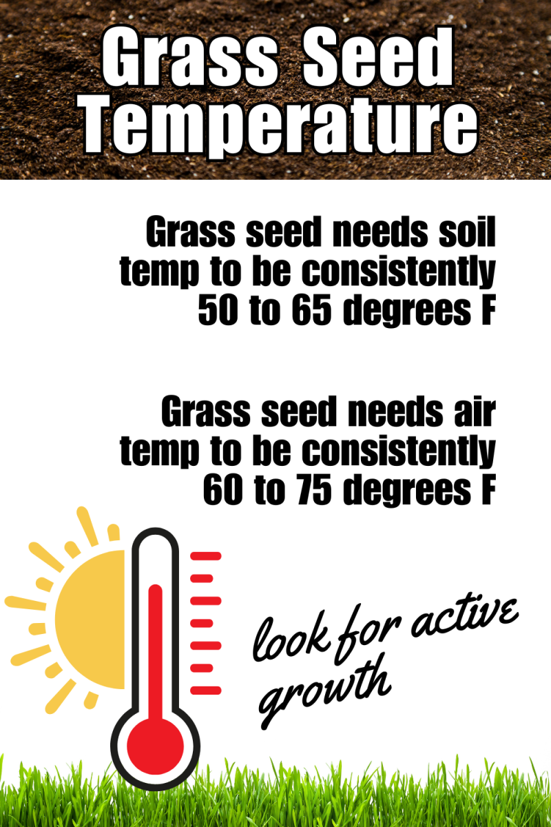 Spring Overseeding Secrets: Do’s and Don’ts for a Lush, Green Lawn ...