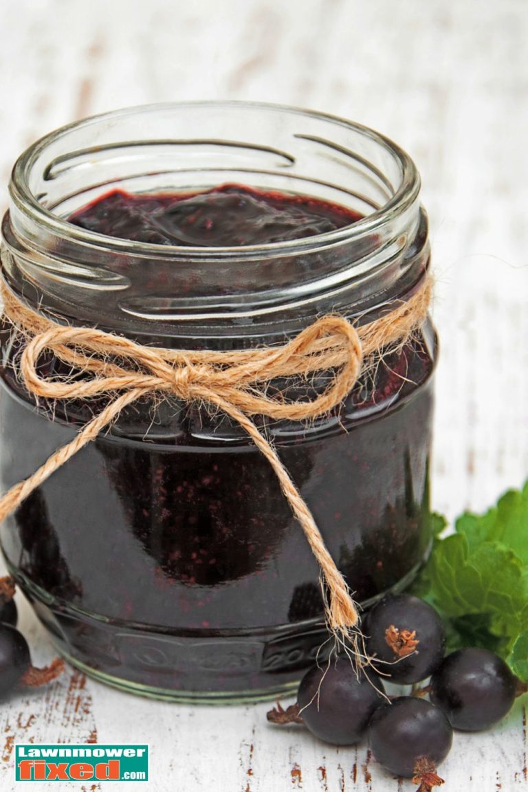Growing Currants Made Easy: Plant, Care, and Harvest Guide | Lawnmowerfixed