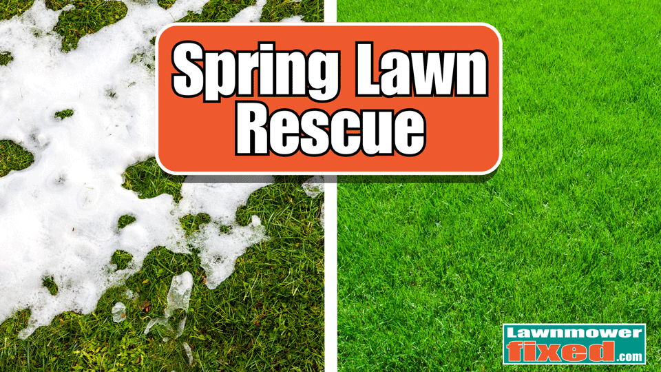 Winter’s Over—Now What? Get Your Lawn Ready for Spring | Lawnmowerfixed