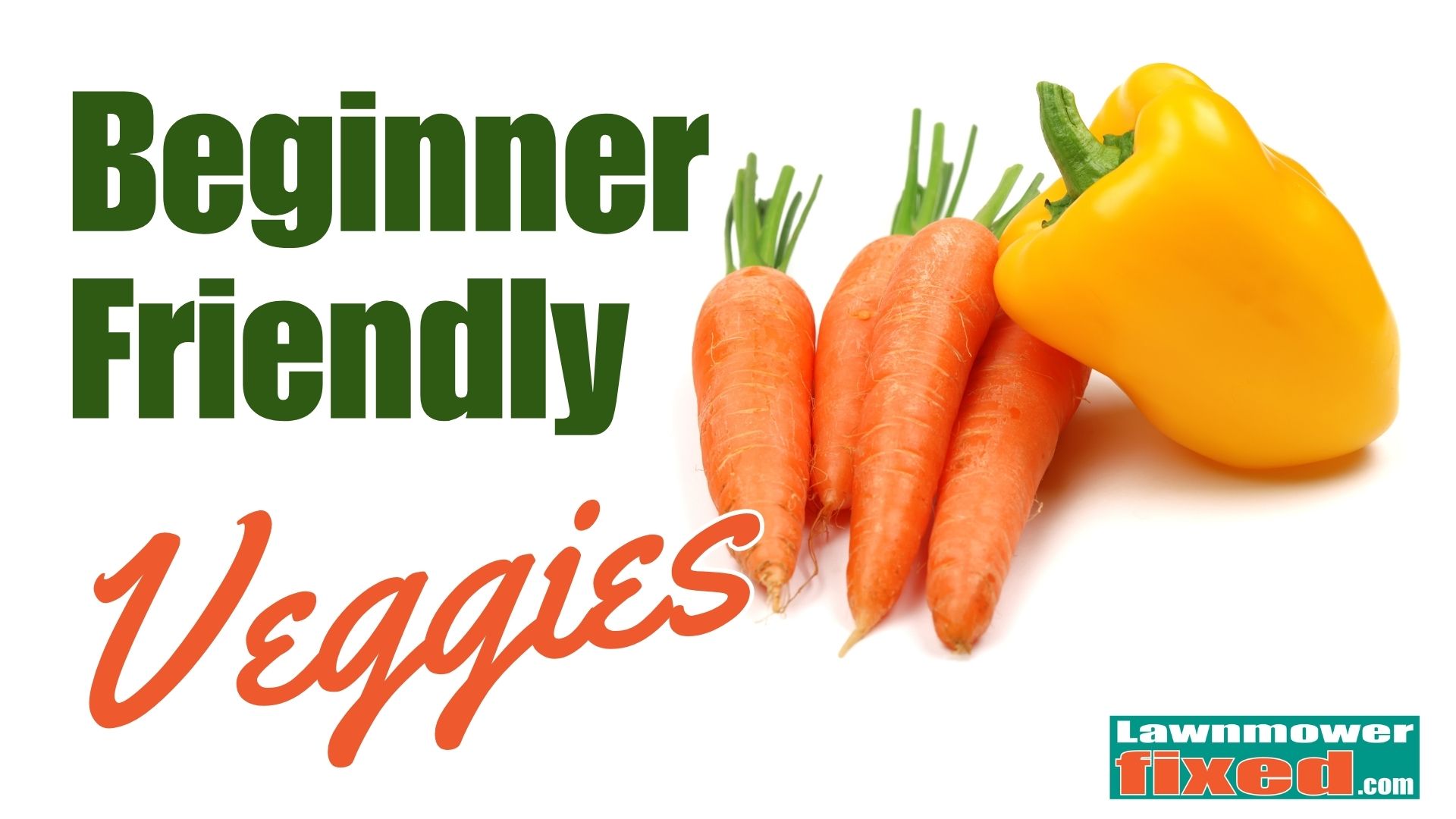 Best Vegetables for Absolute Beginners (Even If You’ve Never Grown ...