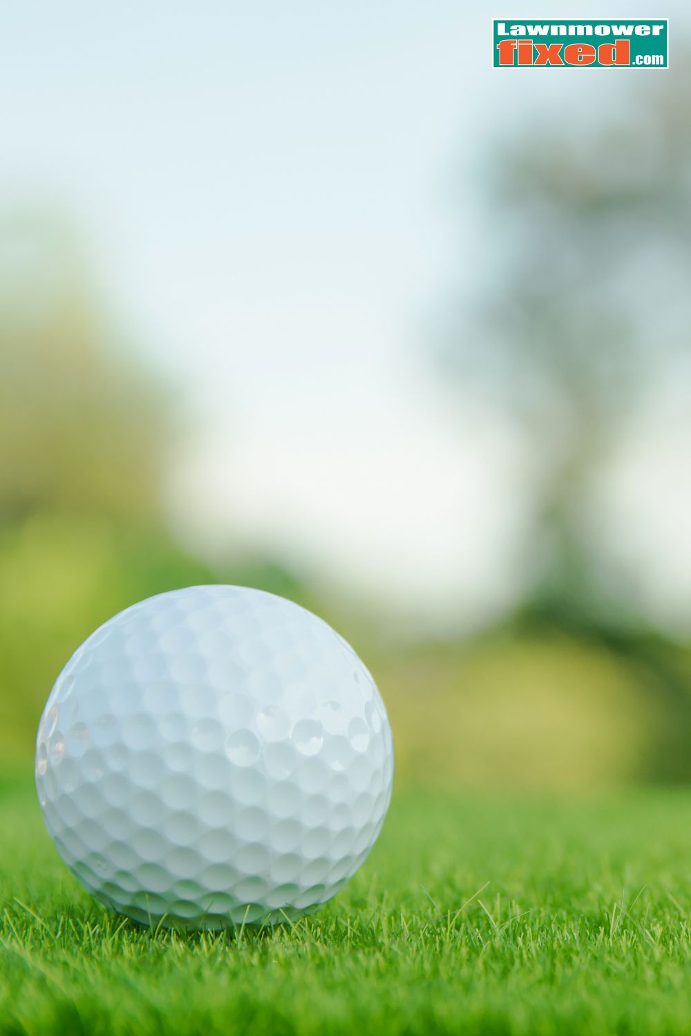 How to Make your Lawn Look Like a Golf Course | Lawnmowerfixed