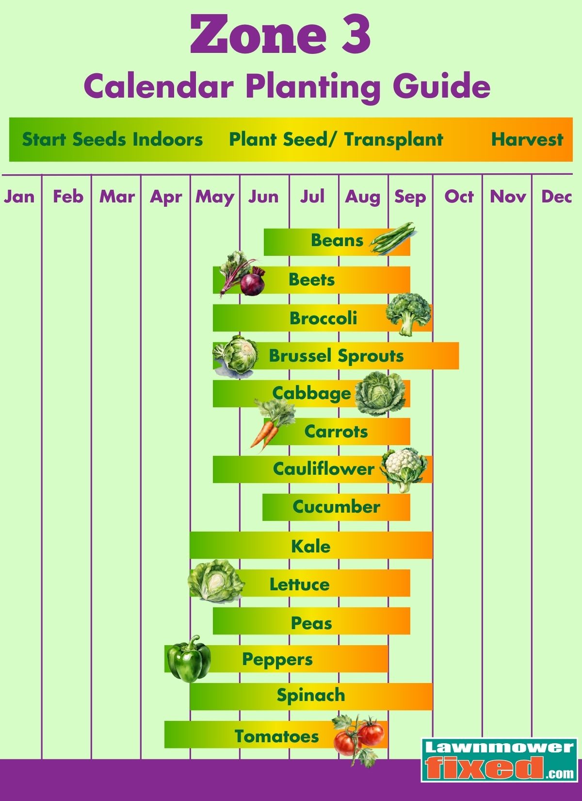 Planting Calendar by Zone: When to Start, Plant & Harvest Your Veggies ...