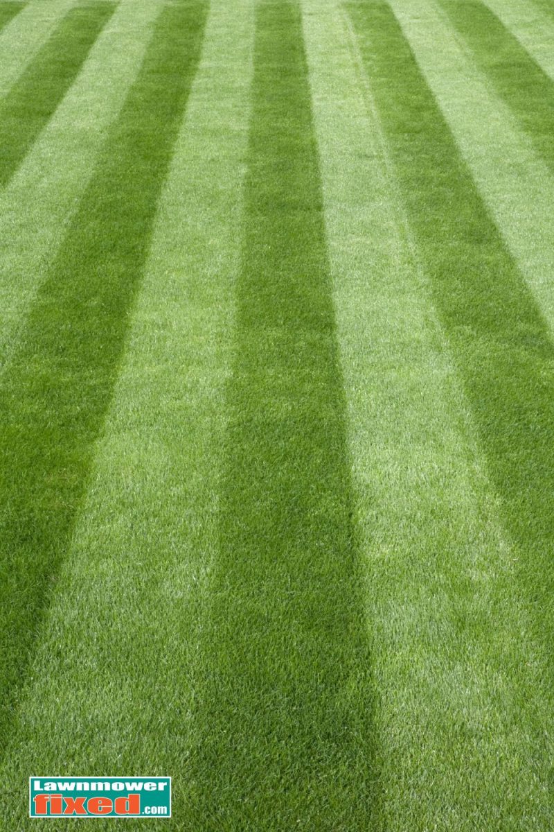 Get Green Grass Fast: Ultimate Spring Lawn Wake-Up Guide | Lawnmowerfixed
