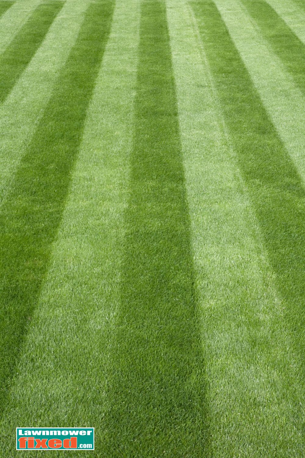 How to Make your Lawn Look Like a Golf Course | Lawnmowerfixed