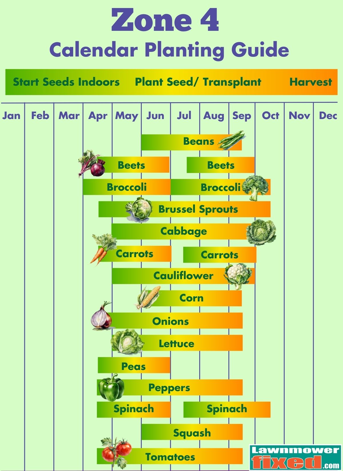 Planting Calendar by Zone: When to Start, Plant & Harvest Your Veggies ...