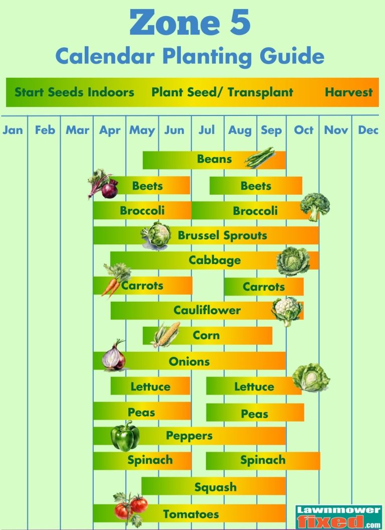 Planting Calendar by Zone: When to Start, Plant & Harvest Your Veggies ...