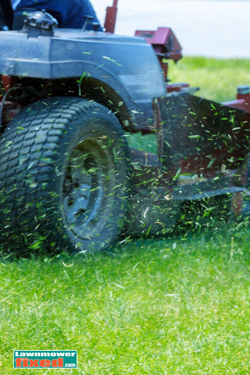 Mulching vs. Bagging Grass Clippings – Which Is Better for Your Lawn ...