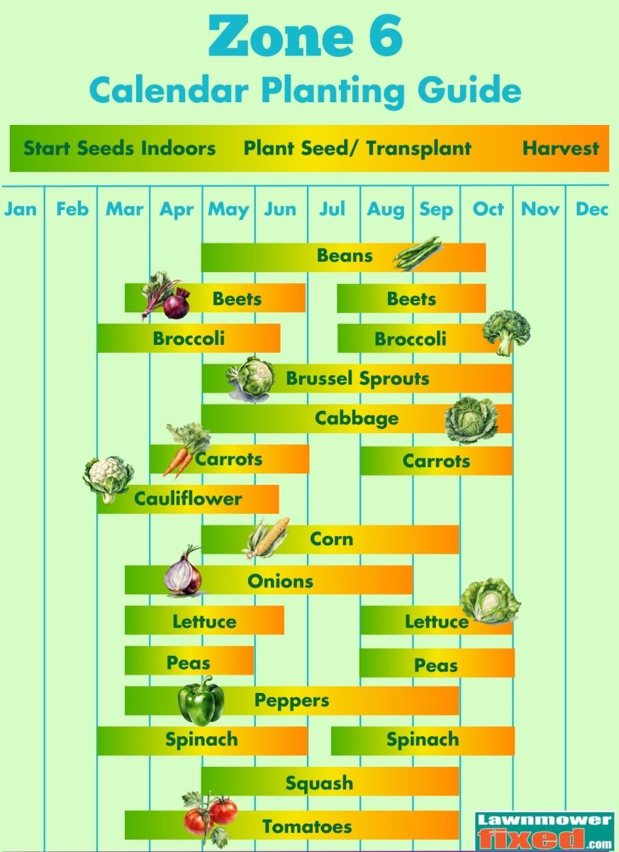 Planting Calendar by Zone: When to Start, Plant & Harvest Your Veggies ...