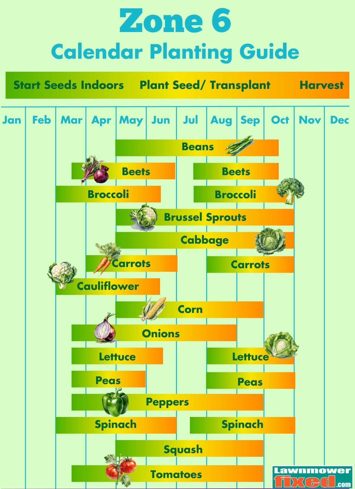 Planting Calendar by Zone: When to Start, Plant & Harvest Your Veggies ...
