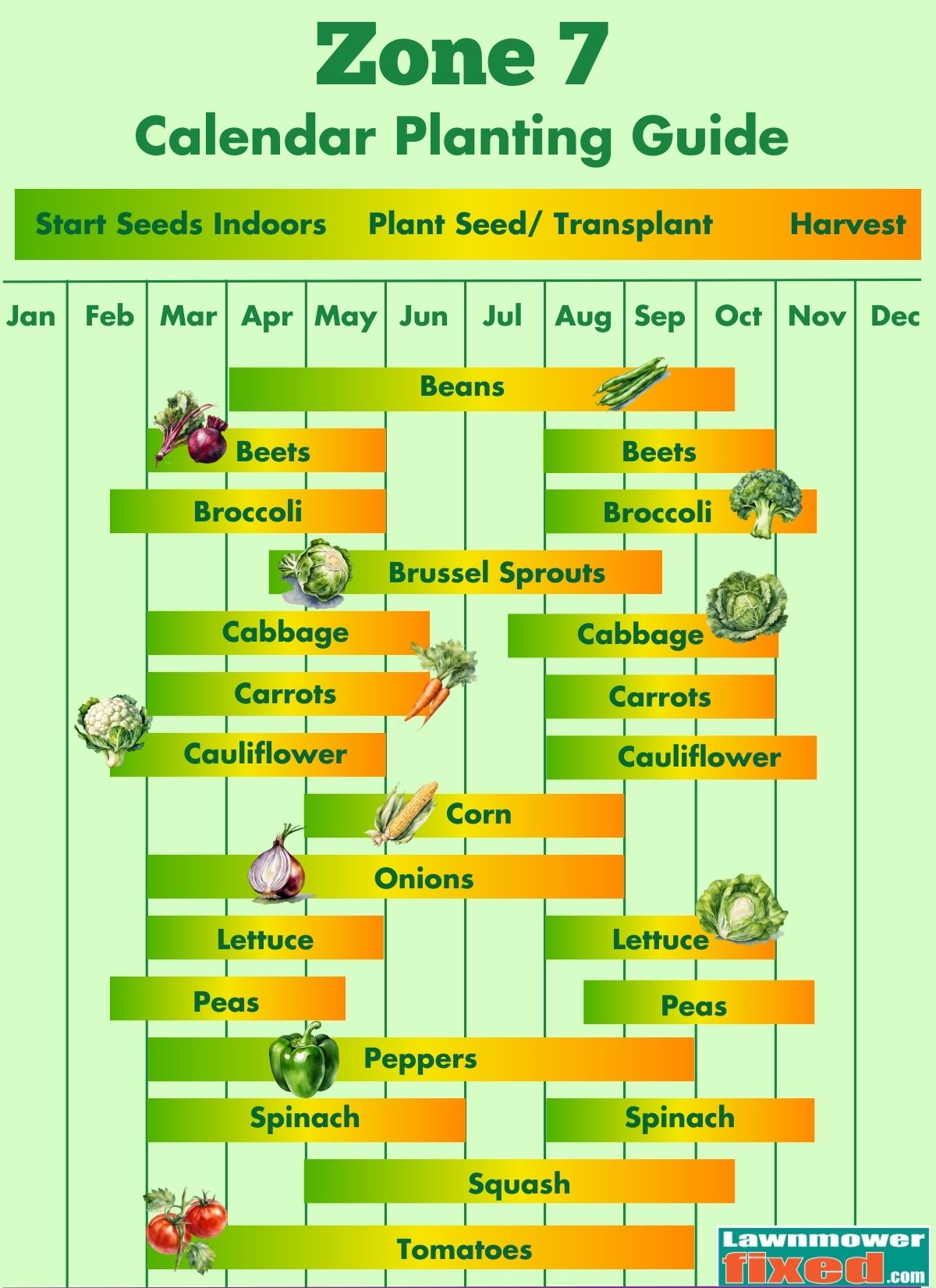 Planting Calendar by Zone: When to Start, Plant & Harvest Your Veggies ...