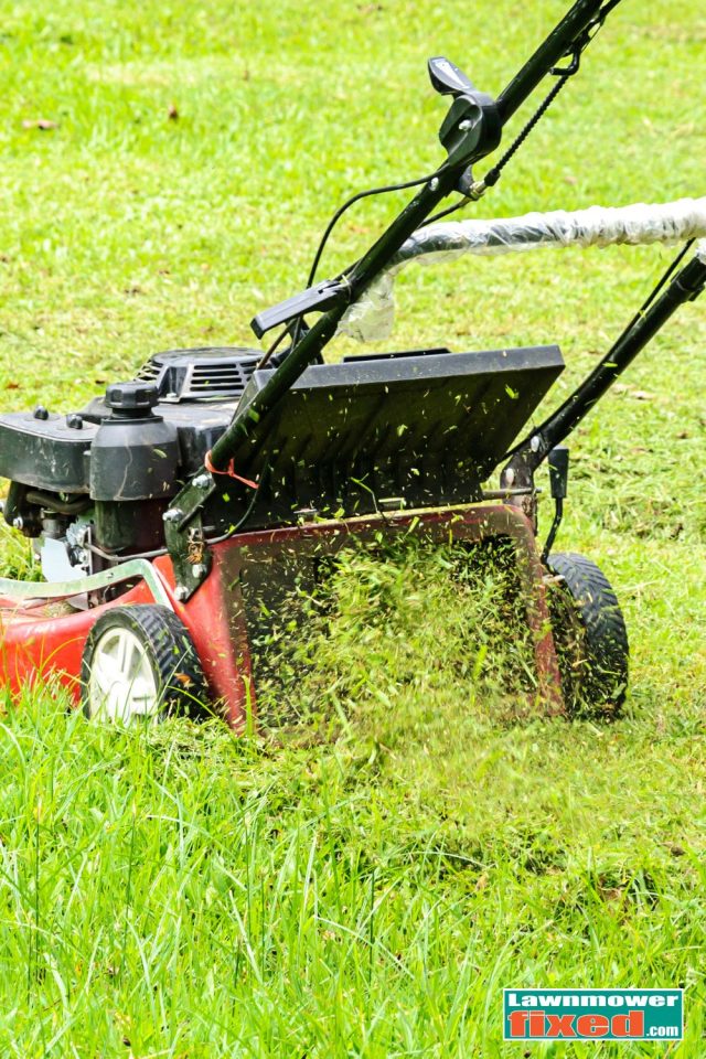 Mulching vs. Bagging Grass Clippings – Which Is Better for Your Lawn ...