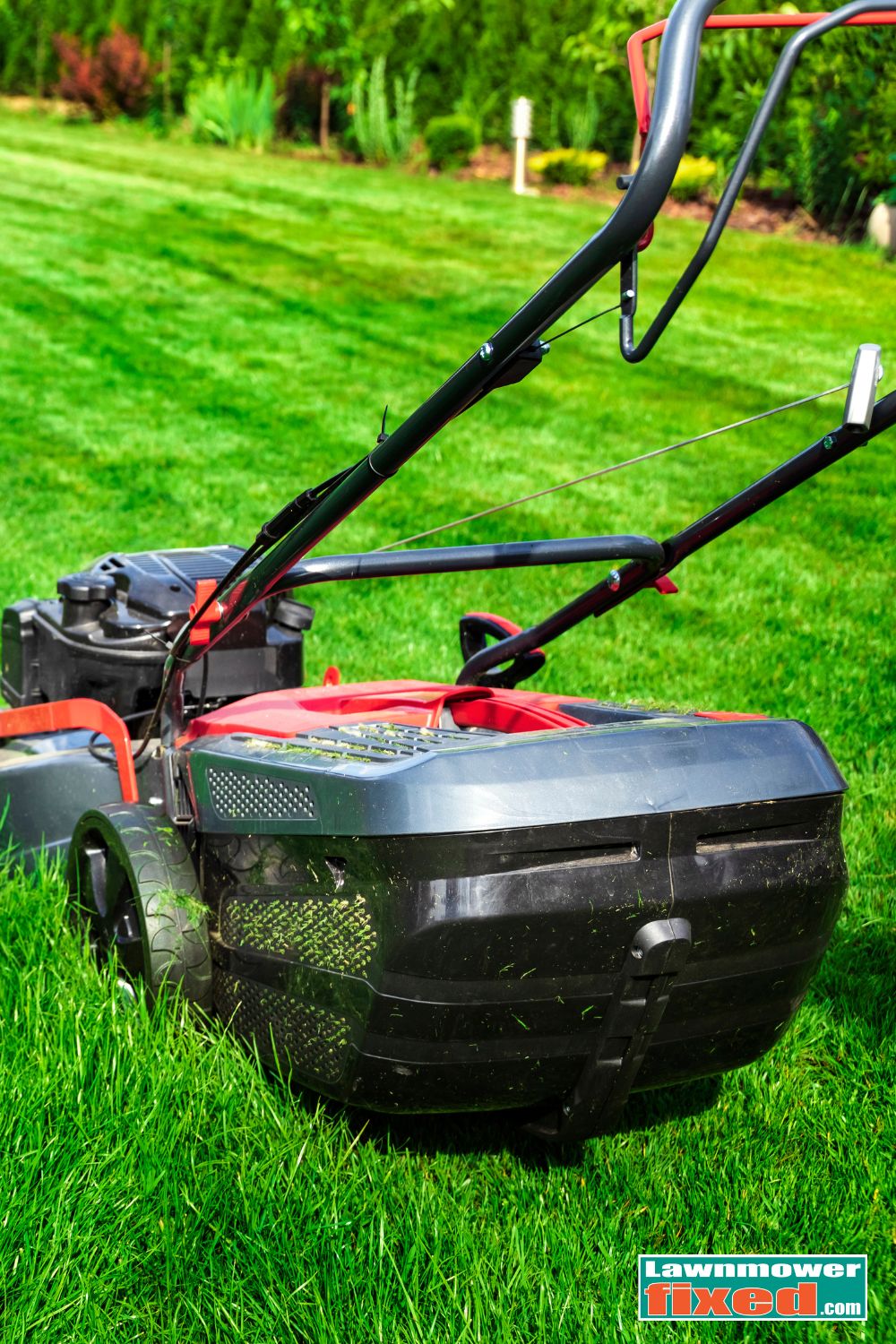Mulching vs. Bagging Grass Clippings – Which Is Better for Your Lawn ...