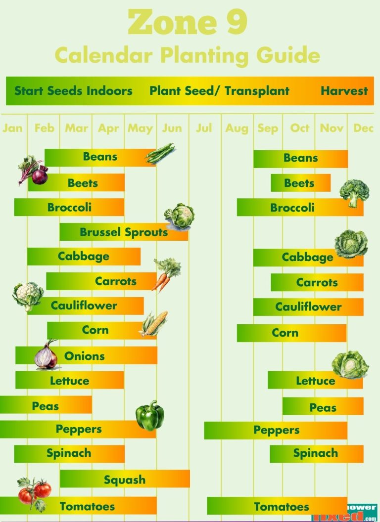 Planting Calendar by Zone: When to Start, Plant & Harvest Your Veggies ...