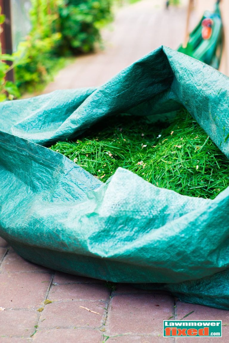 Mulching vs. Bagging Grass Clippings – Which Is Better for Your Lawn ...