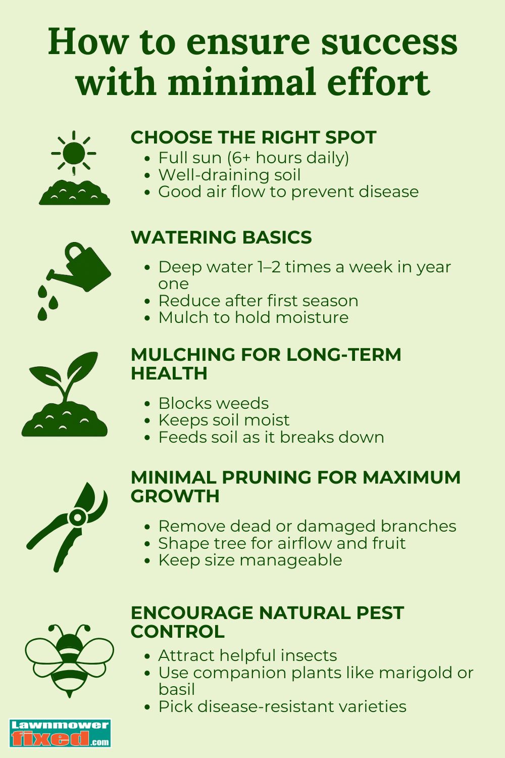 These 5 Fruit Trees Practically Grow Themselves—Perfect for Beginners ...
