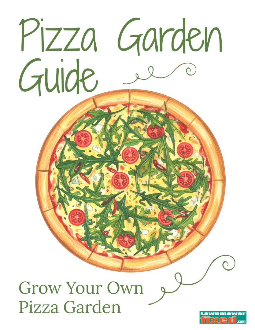 Grow a Pizza Garden: Everything You Need for Homemade Toppings ...